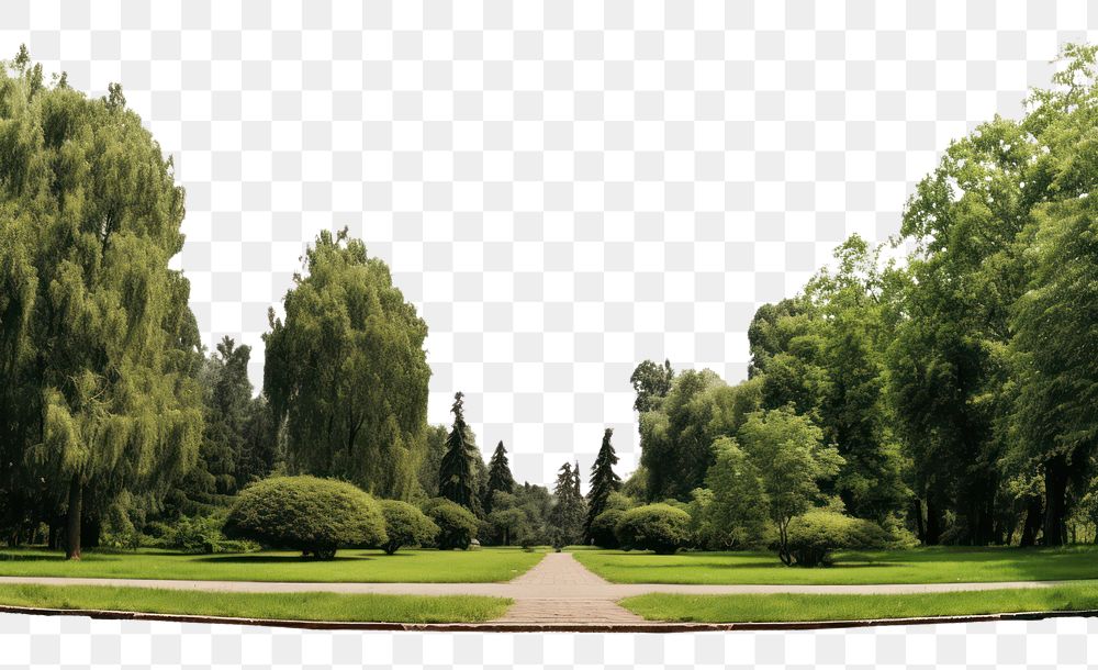 PNG Park border outdoors woodland | Free PNG - rawpixel