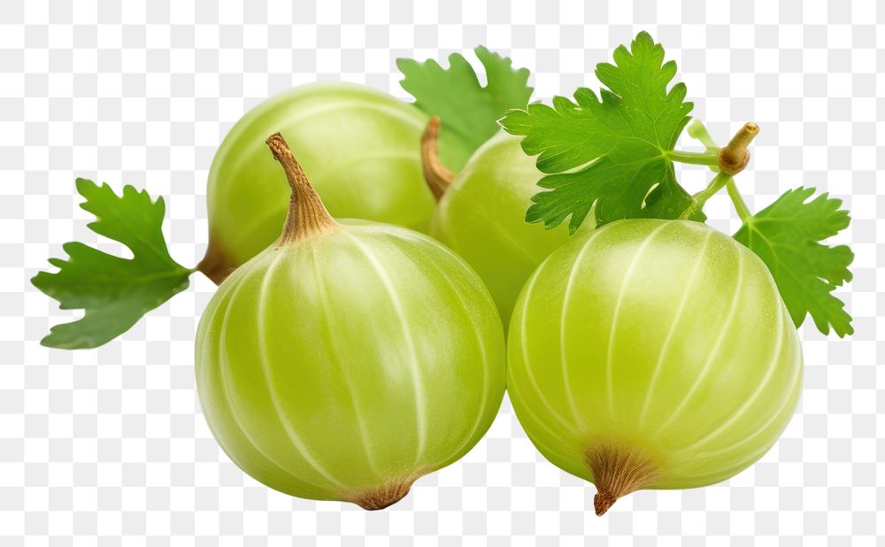 PNG Gooseberry fruit plant food. | Free PNG - rawpixel