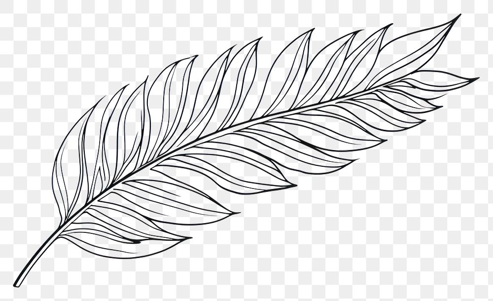 PNG Leaf sketch leaf drawing. | Free PNG - rawpixel