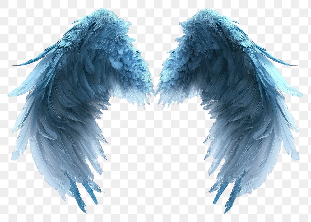 PNG Angel wings bird lightweight | Premium PNG - rawpixel