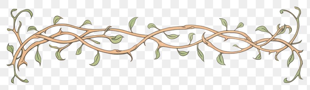 PNG Ornament divider vine art | Premium PNG - rawpixel