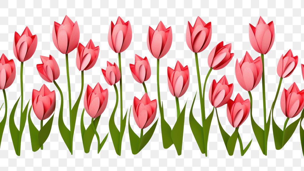 PNG Tulip border flower tulip | Free PNG - rawpixel