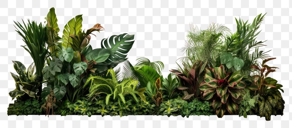 PNG Vegetation outdoors nature garden | Premium PNG - rawpixel