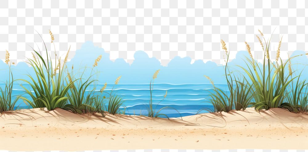 PNG Beach line horizontal border | Premium PNG - rawpixel