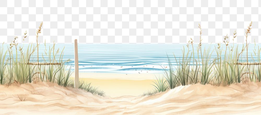 PNG Beach line horizontal border | Premium PNG - rawpixel