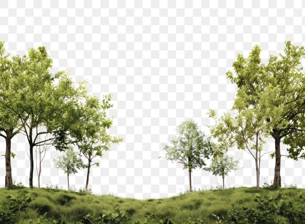 PNG Landscape nature vegetation outdoors | Premium PNG - rawpixel