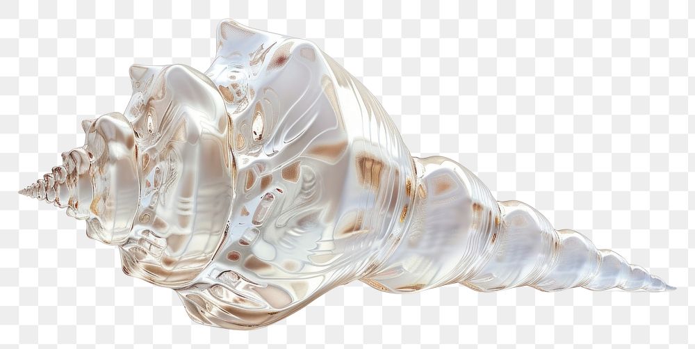 PNG Seashell conch white background | Free PNG - rawpixel