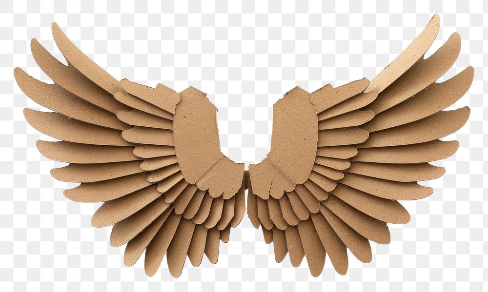PNG Wings cardboard paper invertebrate. | Free PNG - rawpixel