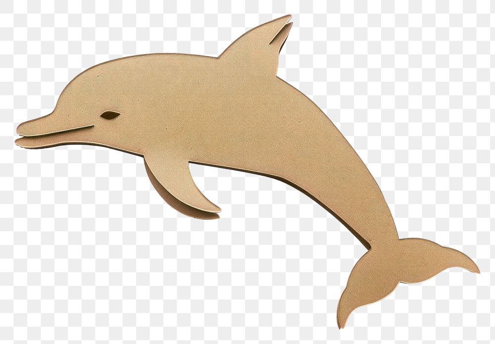 PNG Dolphin animal mammal smoke | Free PNG - rawpixel