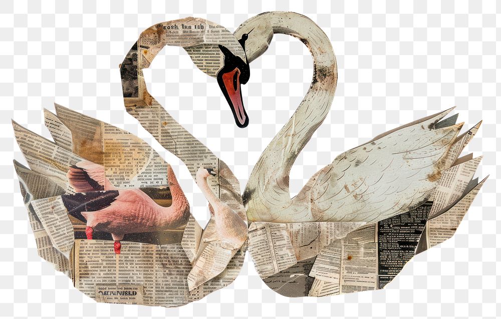 PNG Swan shape collage cutouts | Premium PNG - rawpixel