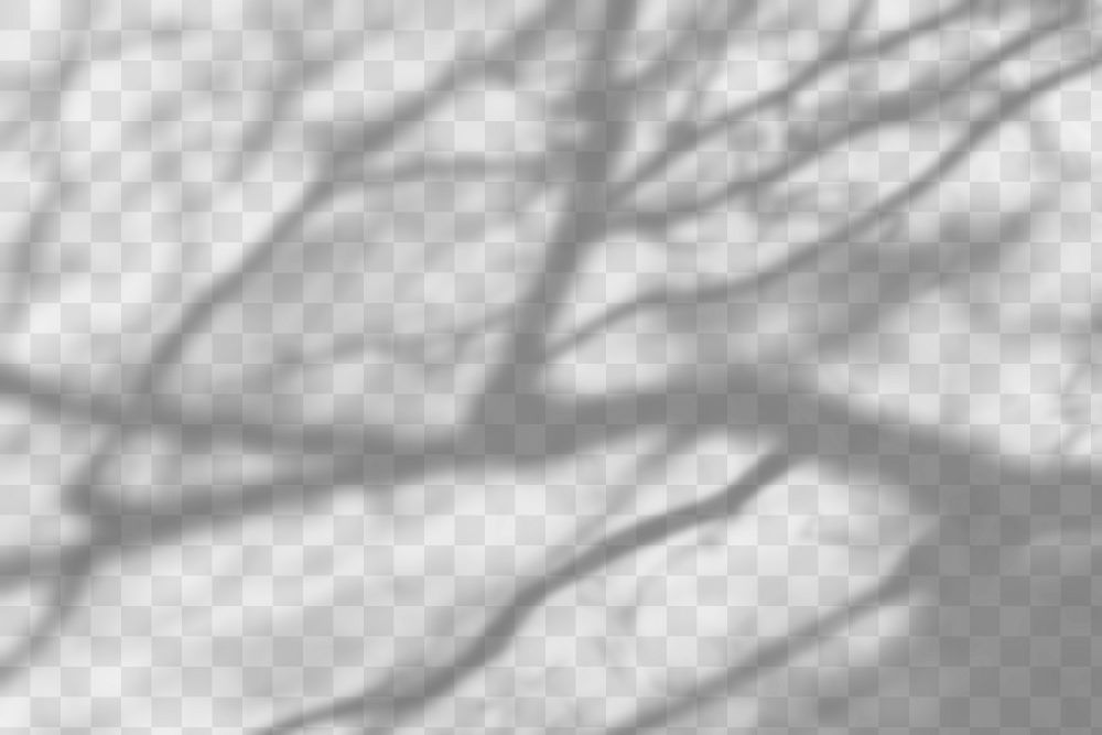 Tree shadow png overlay effect, | Free PNG - rawpixel