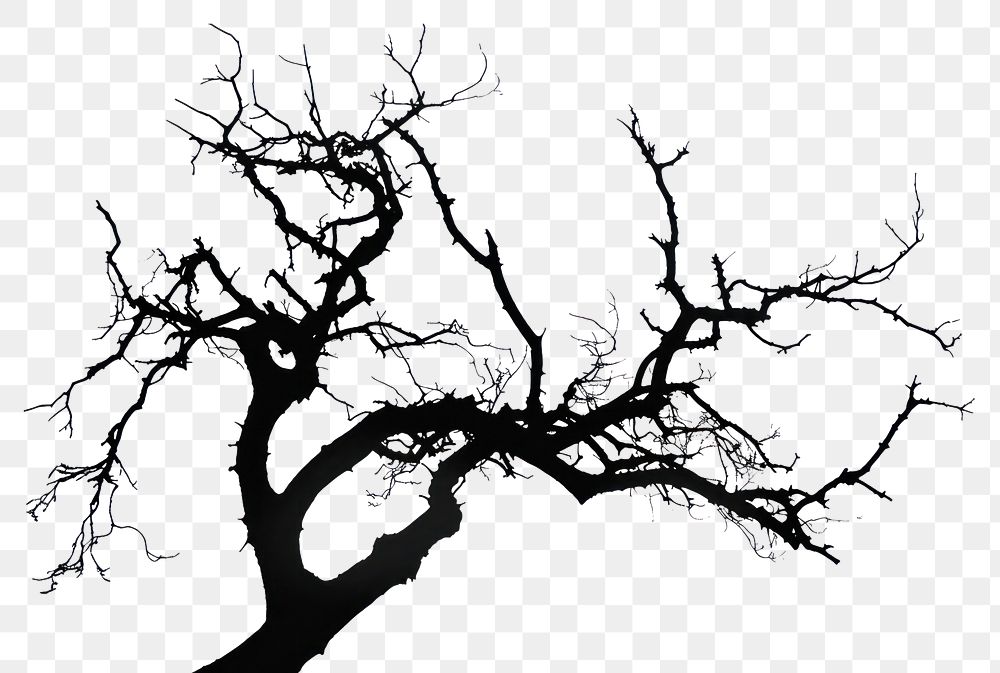 PNG Dead tree silhouette clip | Premium PNG - rawpixel