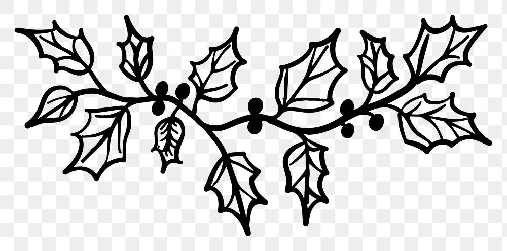 PNG Divider doodle holly leaf | Free PNG - rawpixel