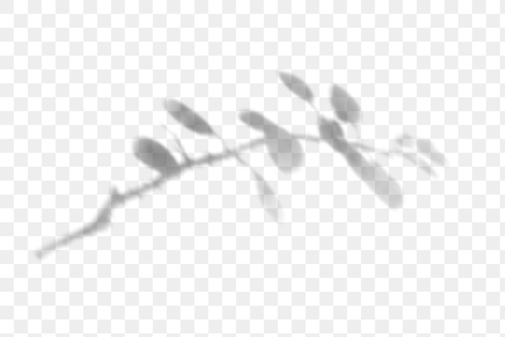 Tree branch png shadow effect, | Premium PNG - rawpixel