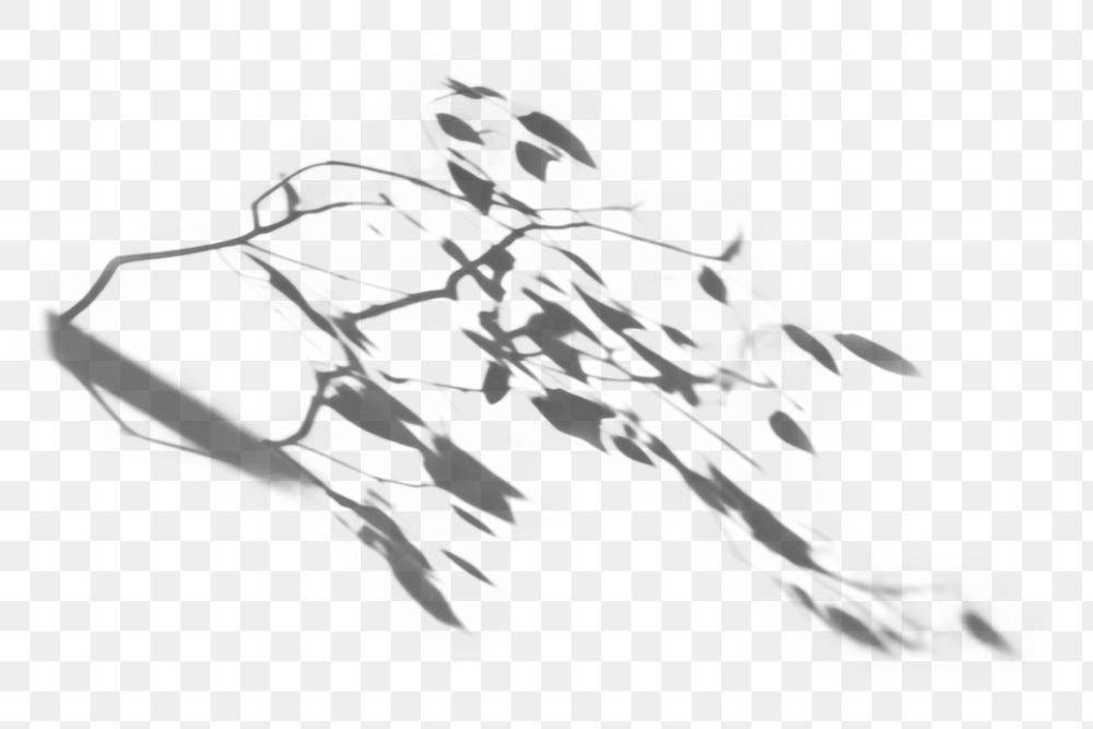 Tree branch png shadow effect, | Premium PNG - rawpixel