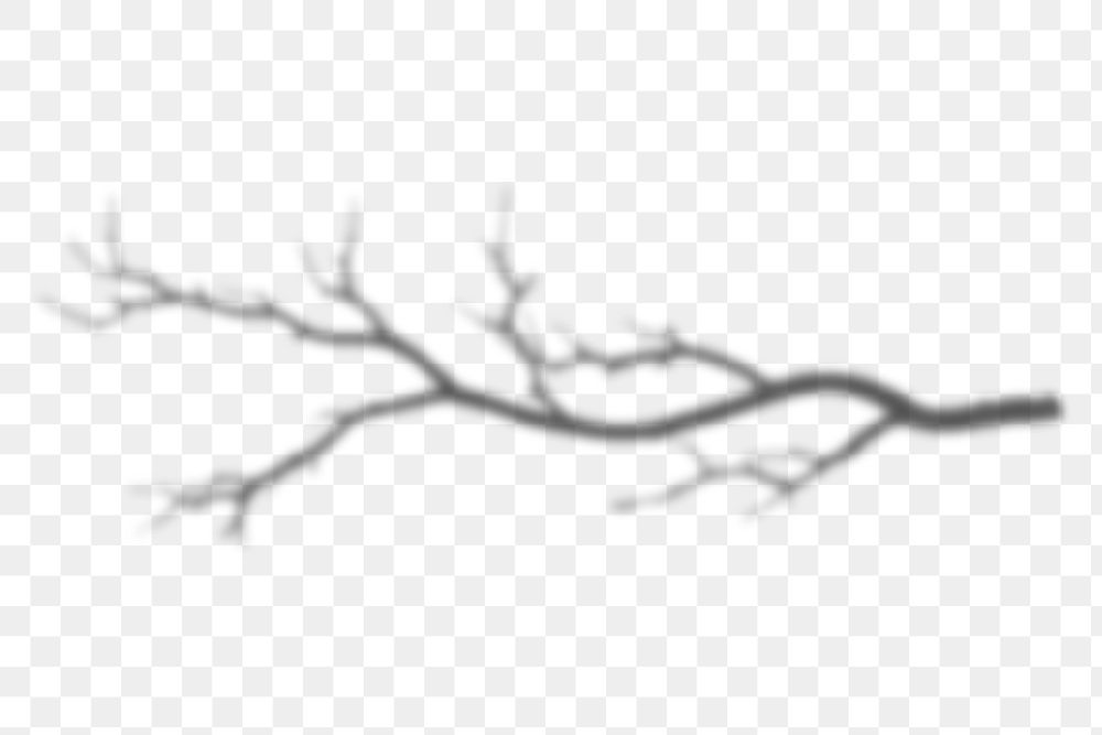 Tree branch png shadow effect, | Premium PNG - rawpixel