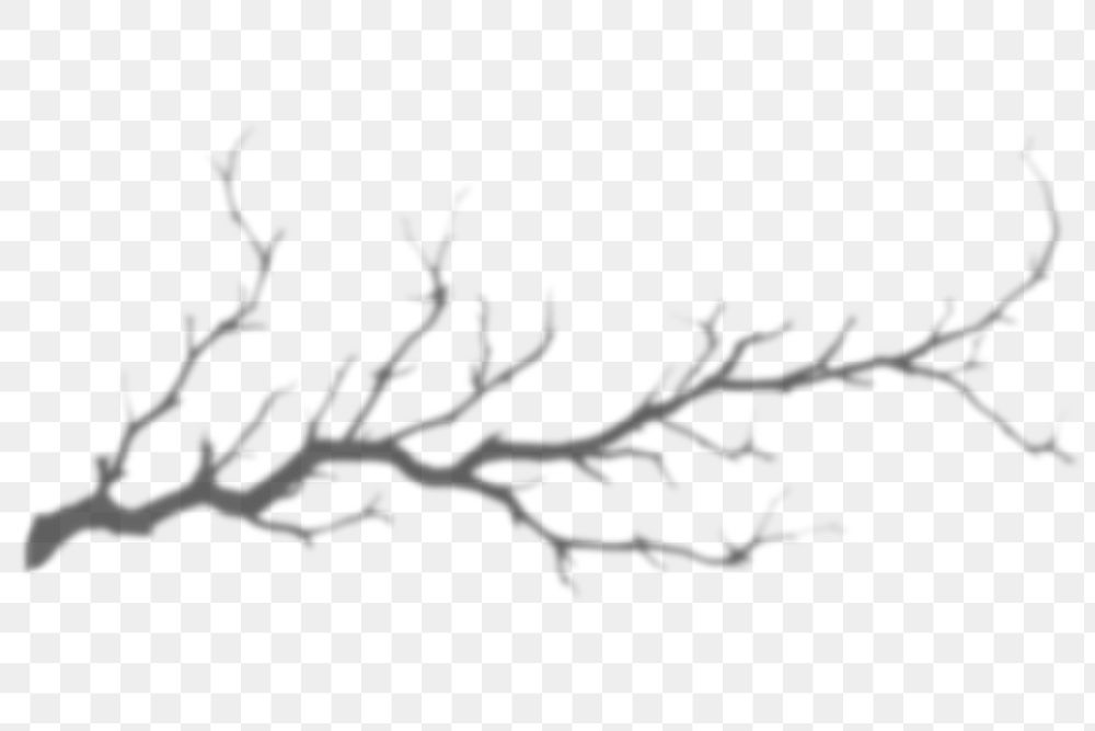 Tree branch png shadow effect, | Premium PNG - rawpixel