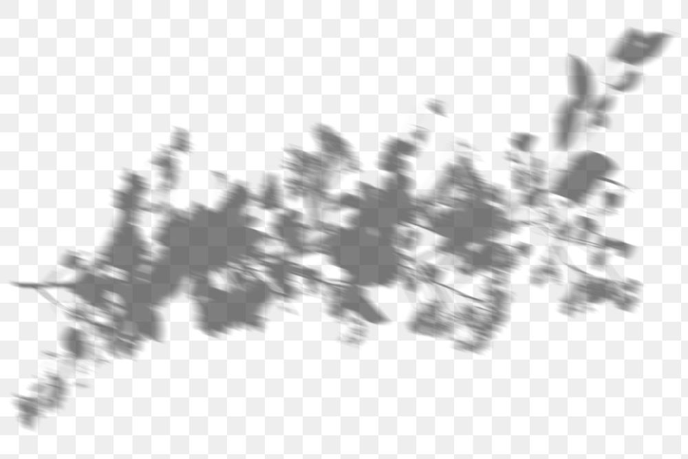 Flower shadow png element effect | Premium PNG - rawpixel