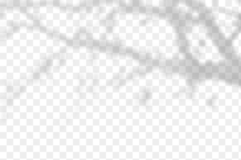 Tree shadow png overlay effect | Premium PNG - rawpixel