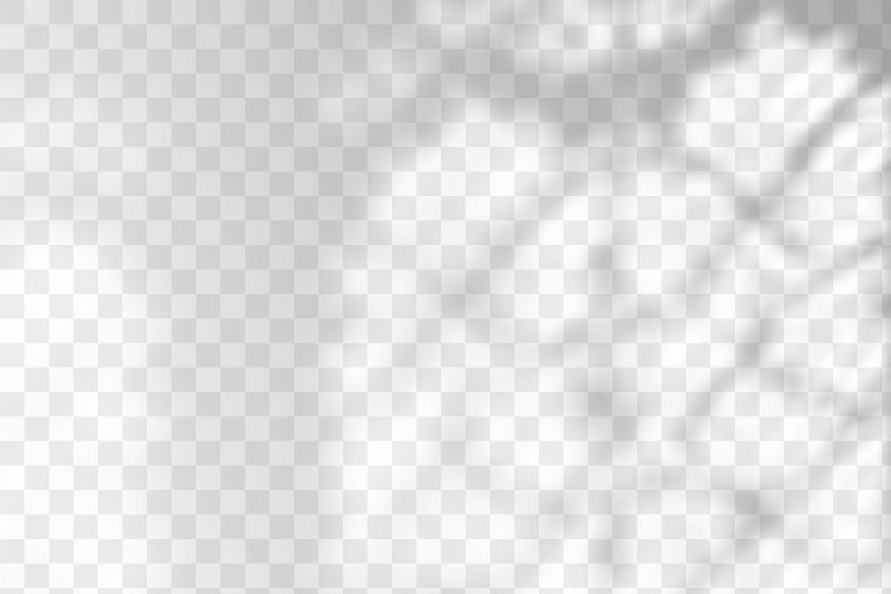 Tree shadow png overlay effect, | Premium PNG - rawpixel