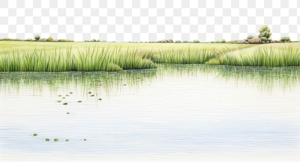 Pencil Drawings Paddy Field Images | Free Photos, PNG Stickers ...
