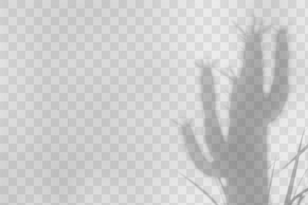 PNG Shadow cactus minimalist plant | Free PNG - rawpixel