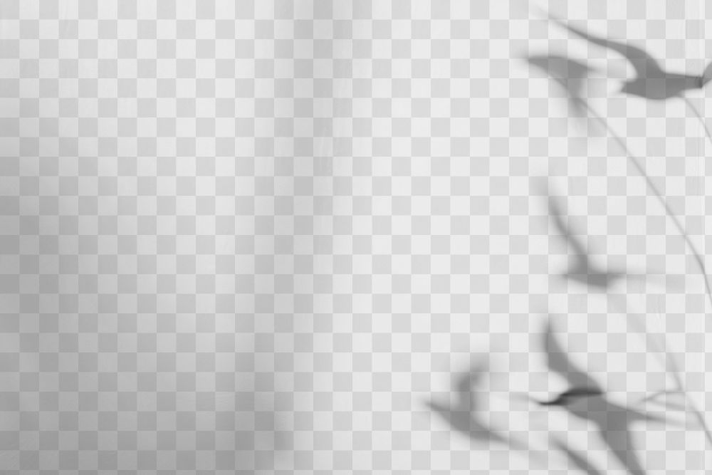 PNG Shadow flock birds flying | Free PNG - rawpixel