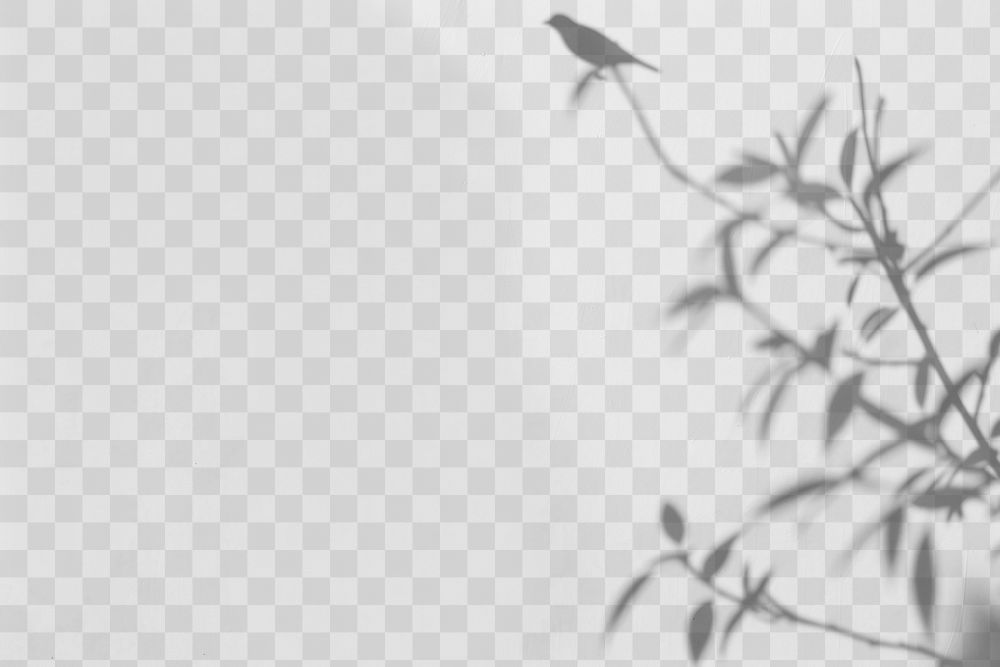 PNG Shadow flying bird minimalist | Free PNG - rawpixel