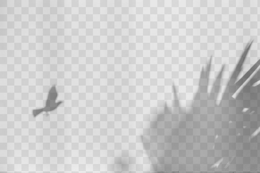PNG Shadow flying bird minimalist | Free PNG - rawpixel