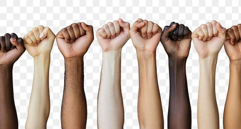 PNG Hands different races equality | Free PNG - rawpixel