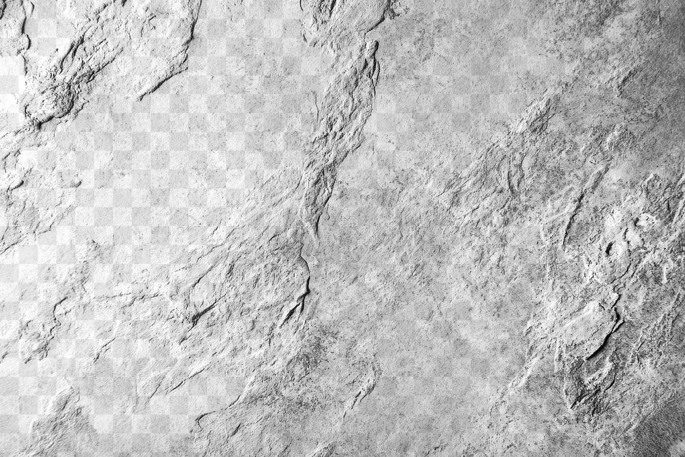 PNG Grey neutral color palette | Free PNG - rawpixel