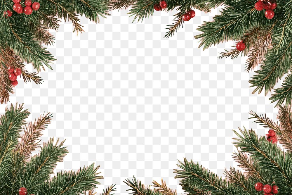 PNG christmas tree branch border | Premium PNG - rawpixel