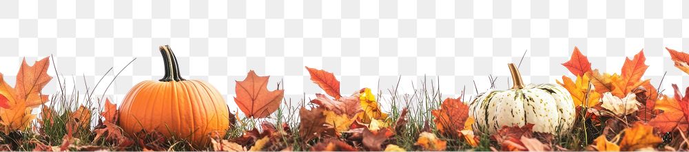 PNG Real autumn grass leaves | Free PNG - rawpixel