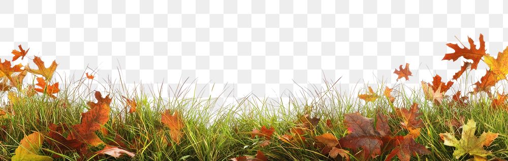 PNG Real autumn grass leaves | Free PNG - rawpixel