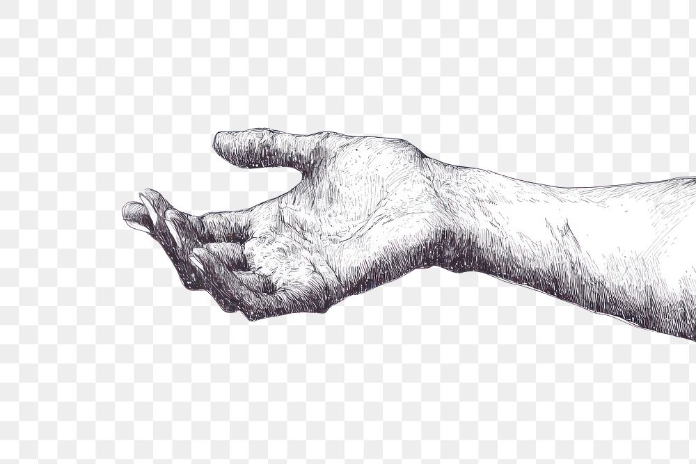 PNG Hand illustration drawing sketch. | Free PNG - rawpixel