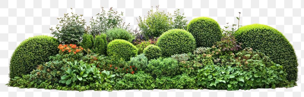 PNG Garden landscape nature plants. | Free PNG - rawpixel