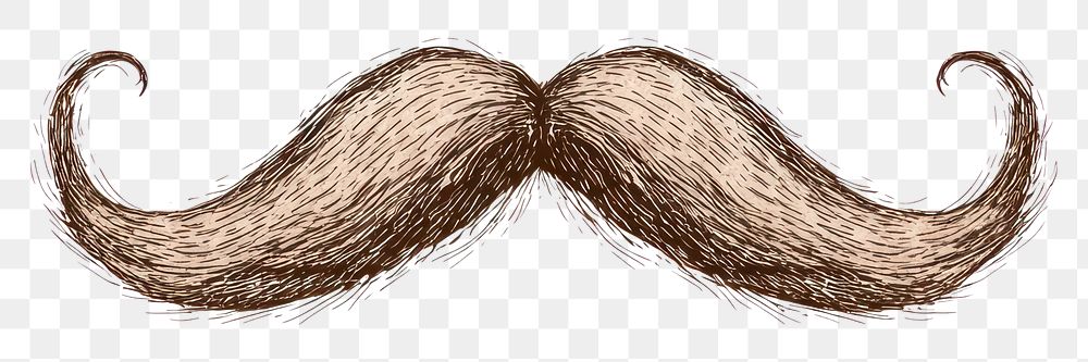 PNG Mustache mustache illustration grooming. | Free PNG - rawpixel