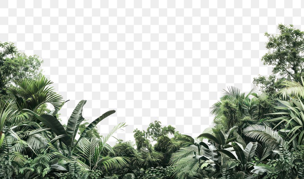 PNG Amazon forest landscape nature | Free PNG - rawpixel