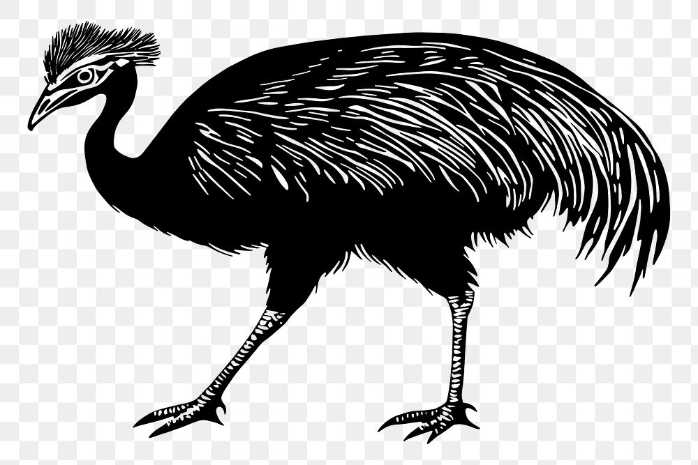 PNG Emu wood block print | Free PNG - rawpixel