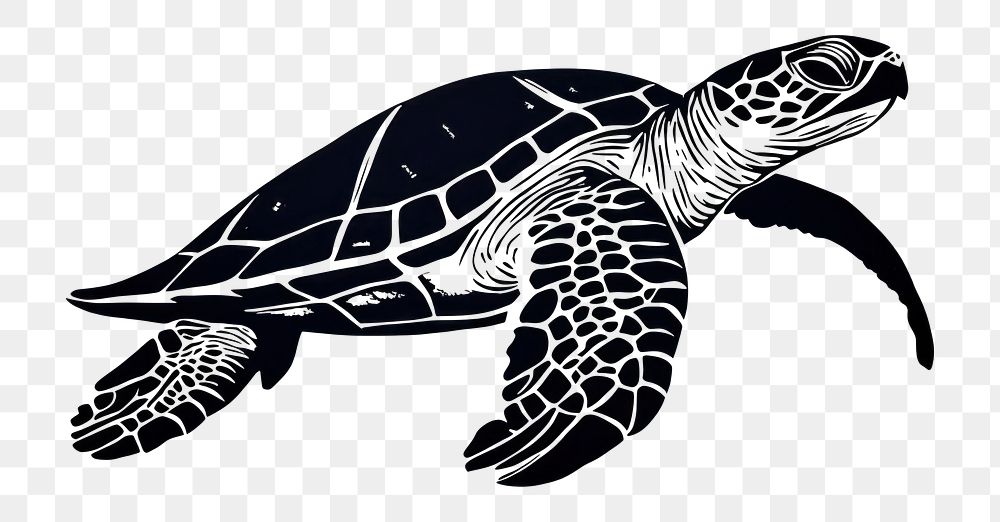 PNG Leatherback sea turtle wood | Free PNG - rawpixel