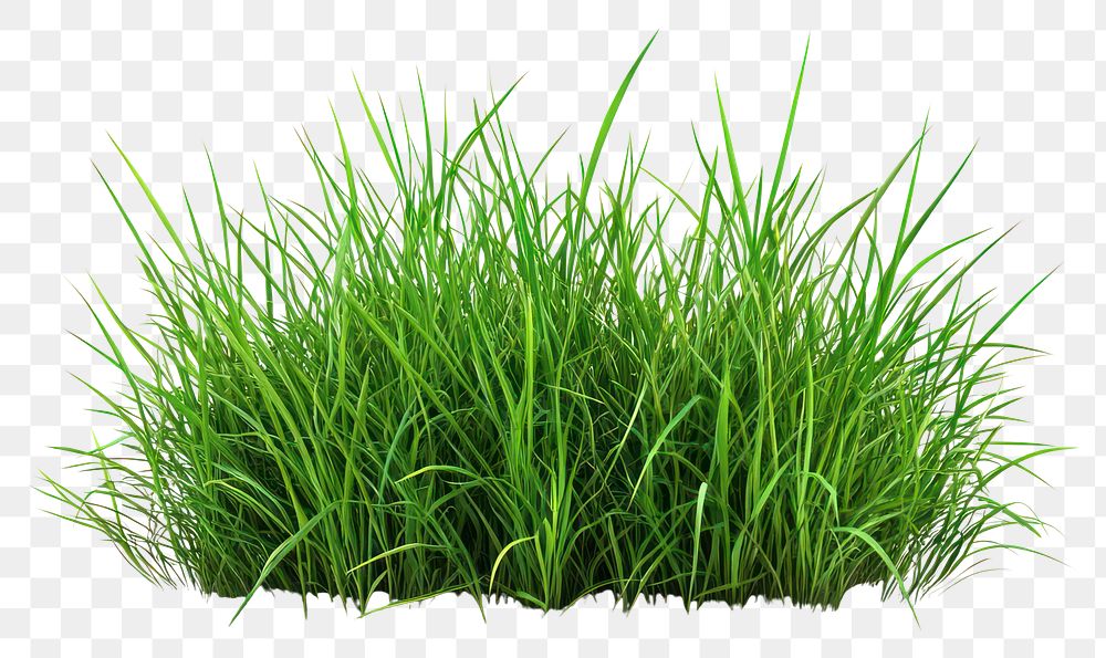 PNG Green grass patch background | Free PNG - rawpixel
