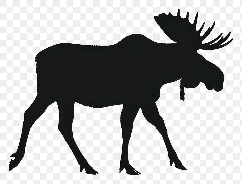 PNG Moose walking silhouette illustration | Free PNG - rawpixel