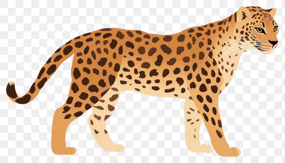 PNG Leopard leopard illustration wildlife. | Free PNG - rawpixel