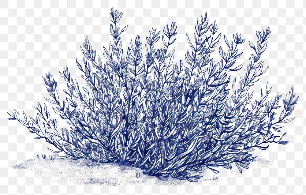PNG Bush drawing illustration sketch | Free PNG - rawpixel