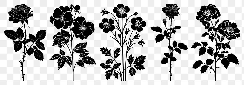PNG Silhouette five rose illustrations | Premium PNG - rawpixel