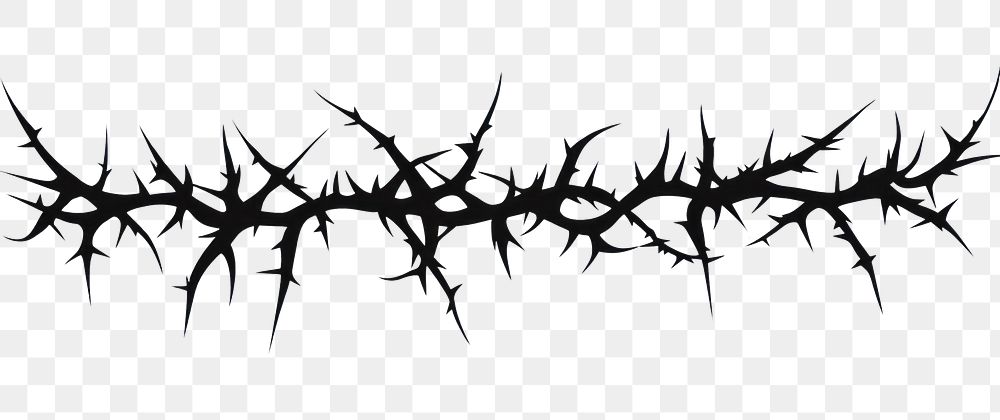 PNG Thorny vines design vector | Free PNG - rawpixel