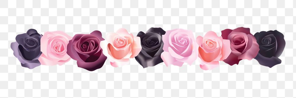 PNG Black rose border illustration | Free PNG - rawpixel