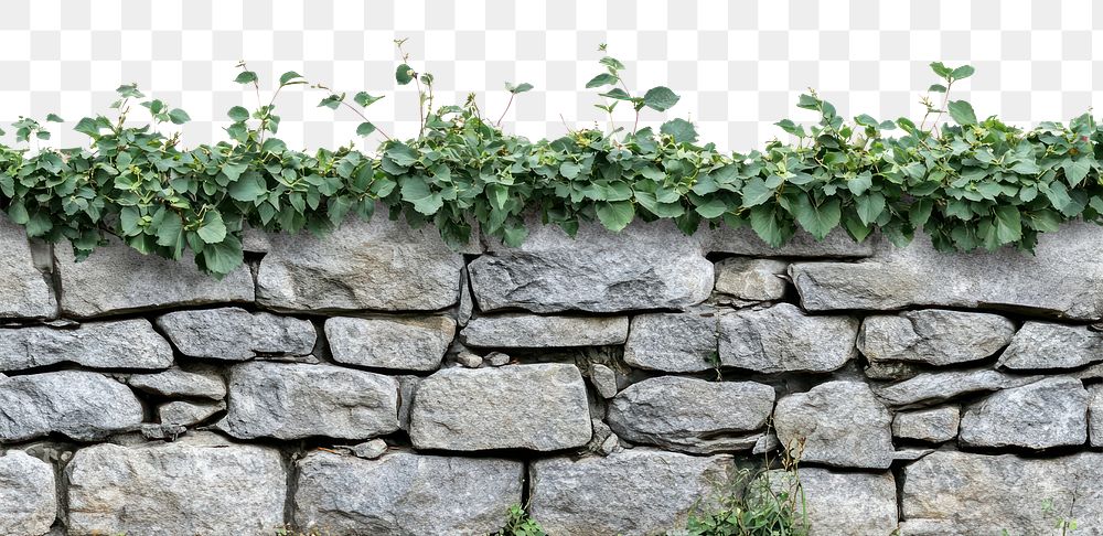 PNG Manmade landscape borders wall | Free PNG - rawpixel