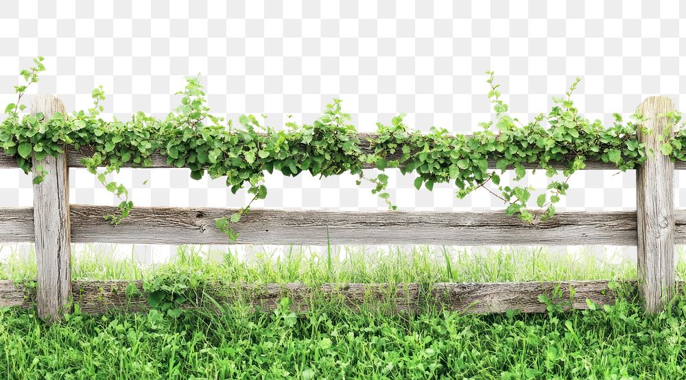 PNG Manmade landscape borders fence | Free PNG - rawpixel