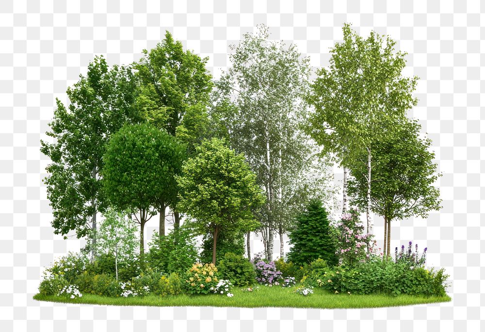 PNG Group different trees forest | Free PNG - rawpixel